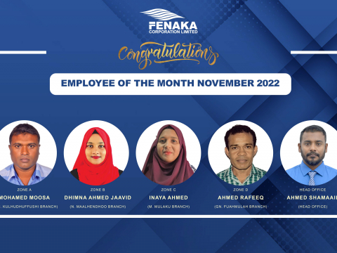 Fenaka Corporation Limited